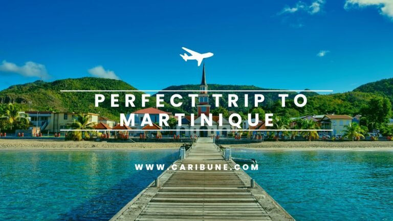 16 Tips for Planning the Perfect Trip To Martinique | Caribune